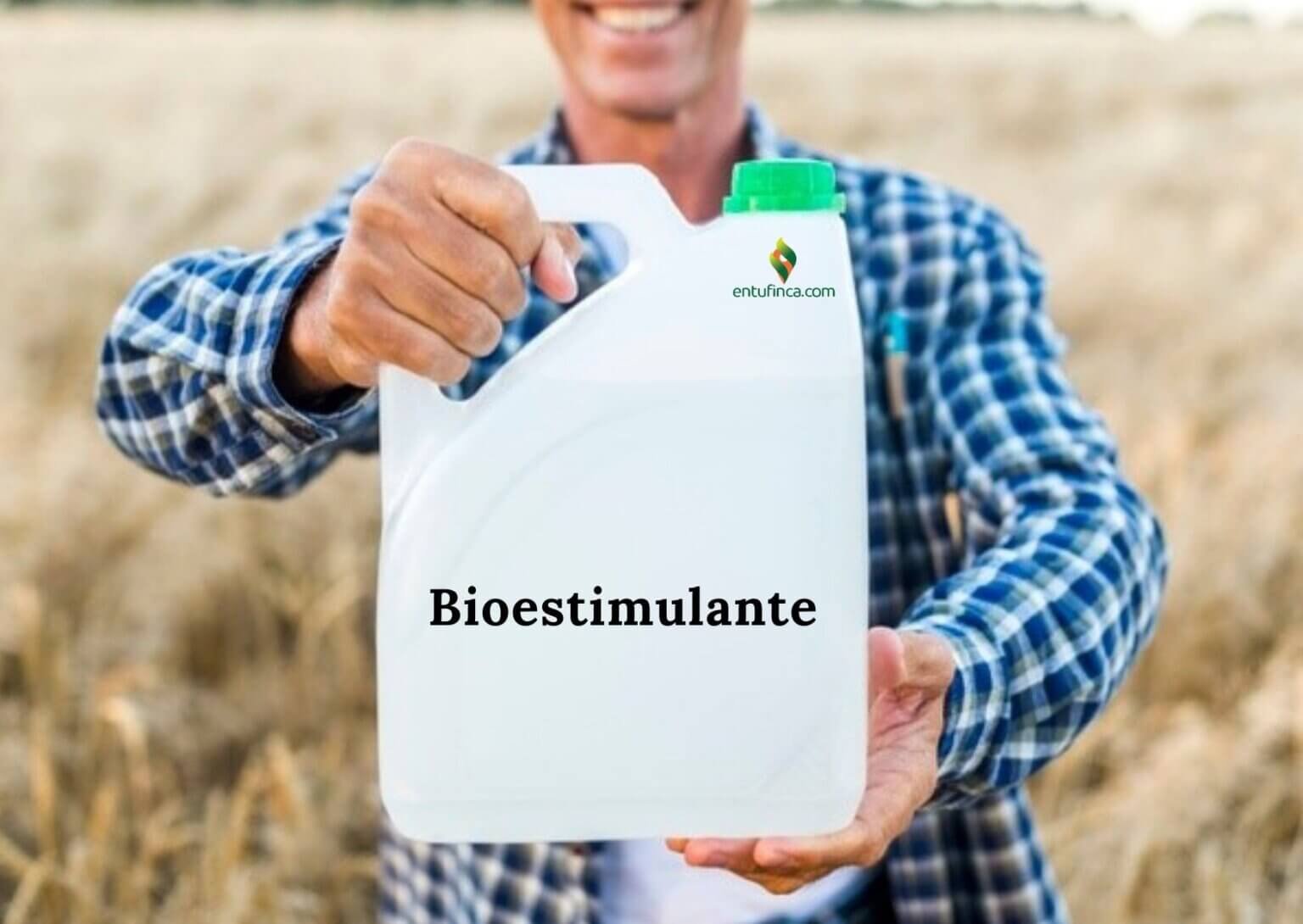 Bioestimulantes. Tipos, ventajas y desventajas de uso. - entufinca.com